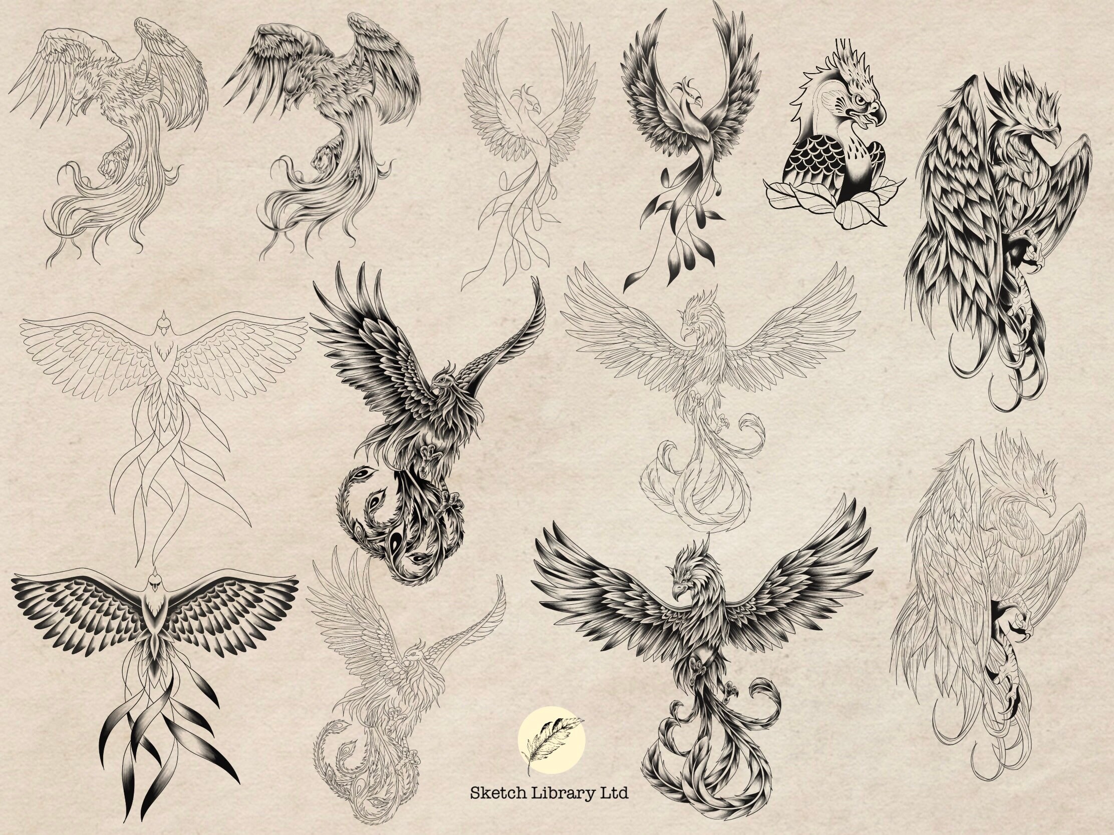 15 Phoenix Tattoo Stamps // Brushes for Procreate, Outline Drawing for ...