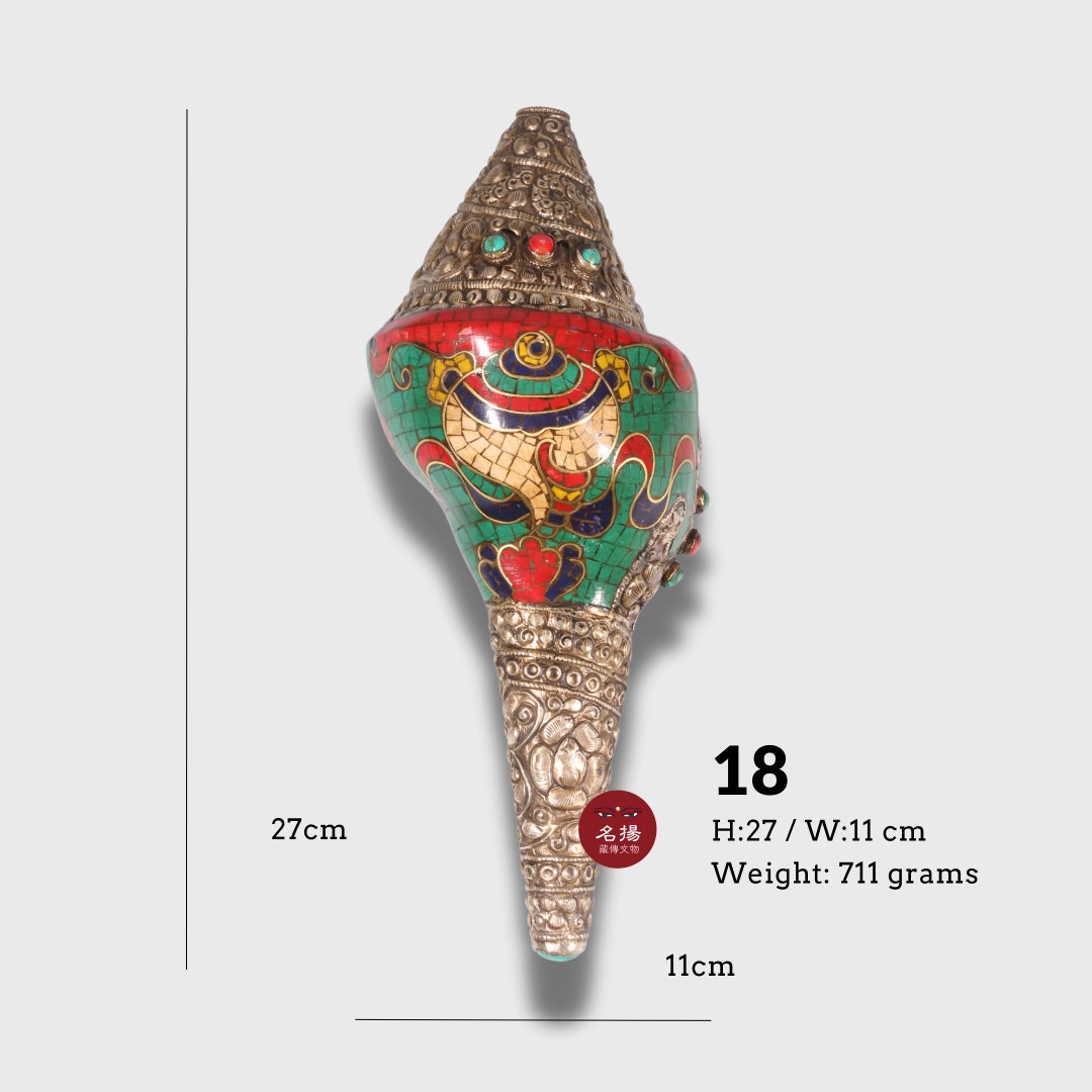 Big Shankha/ Conch Shell (#18) Tibetan Buddhist Ritual Instrument 8 ...