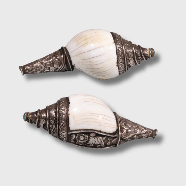 Nepal Conch Shell - Etsy