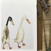 Duck Card - Etsy