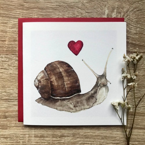 Snail Note Card Set of 10 in White or Ivory With Matching - Etsy