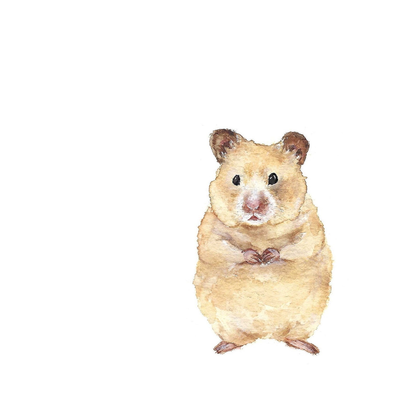 Hamster print | Etsy