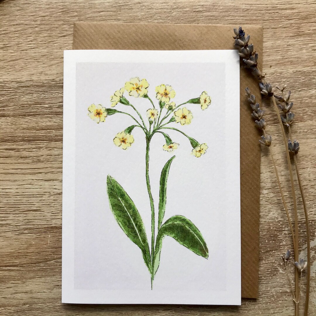 Primrose Flower Card - Etsy