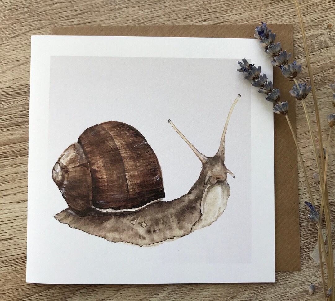 Snail Card - Etsy UK