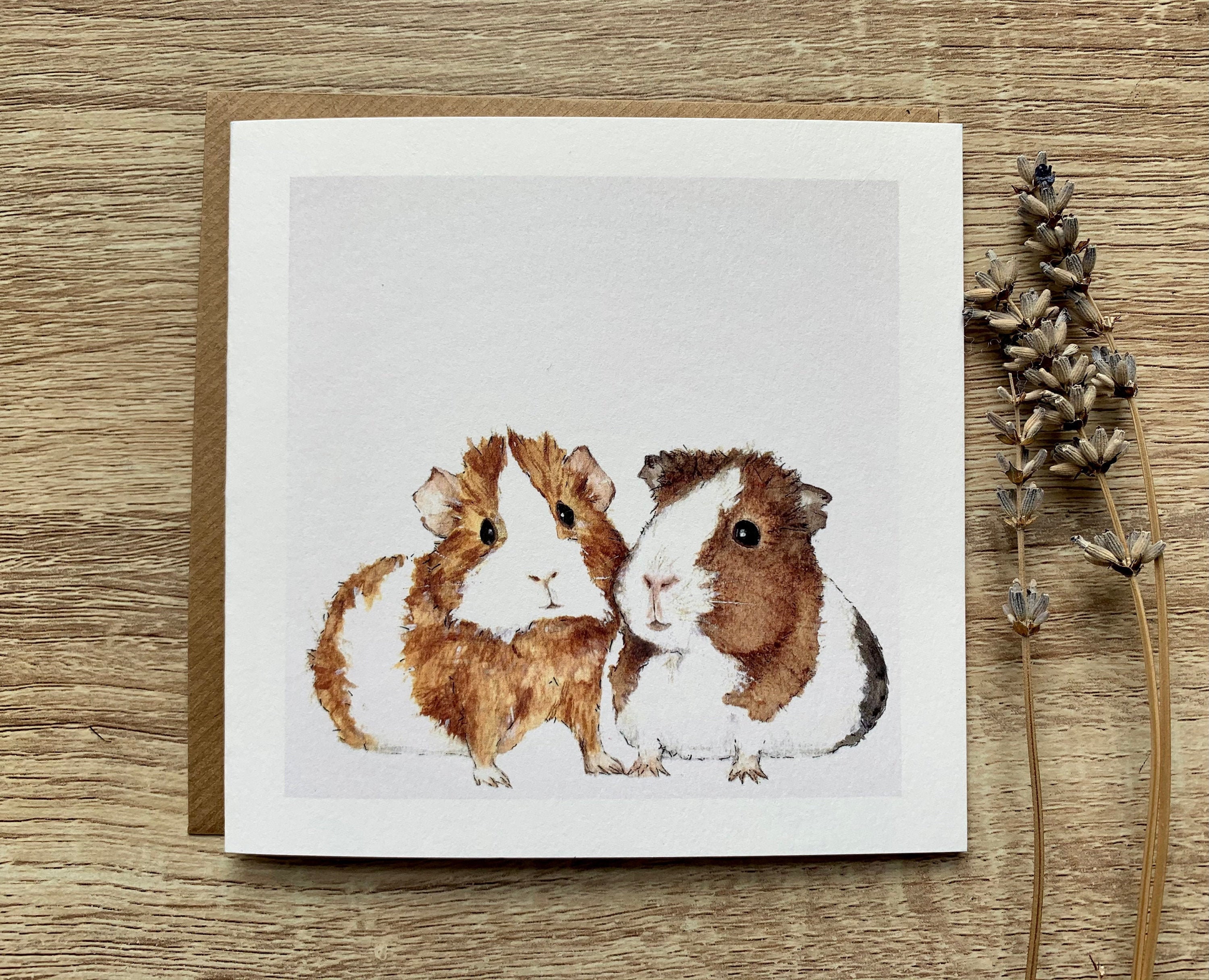 Guinea Pig Card - Etsy
