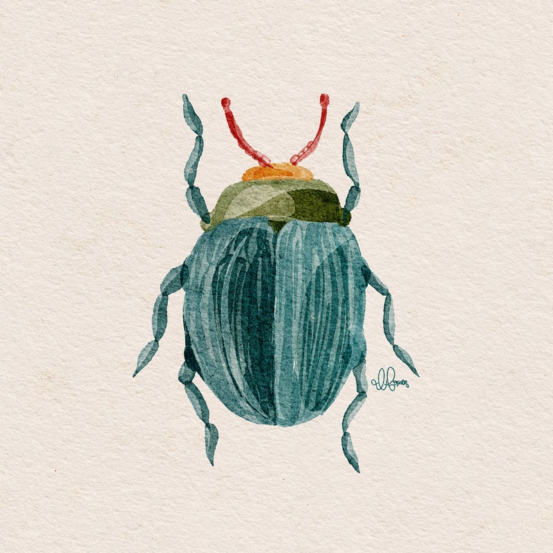 Bug Art Print - Etsy