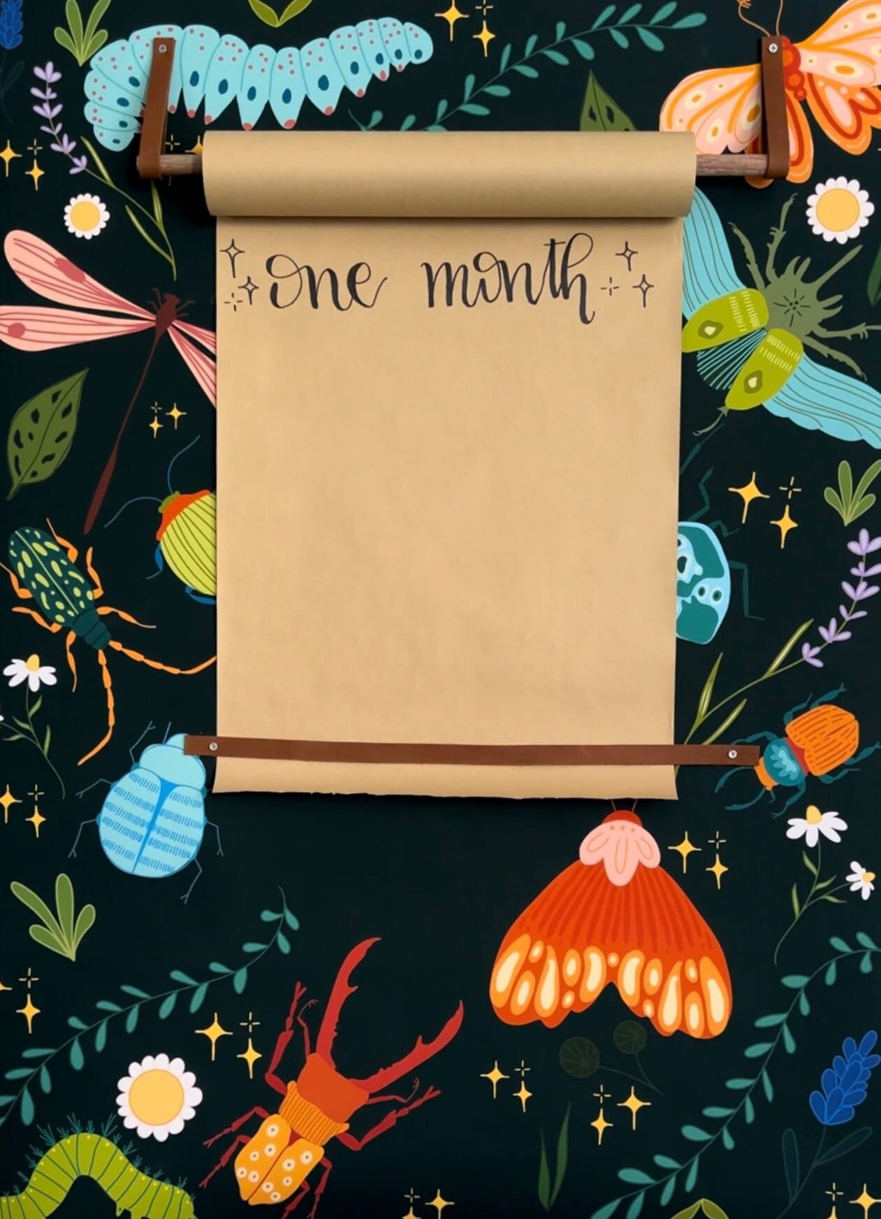 Baby Monthly Milestone Photo Backdrop | Bug Milestone Picture ...