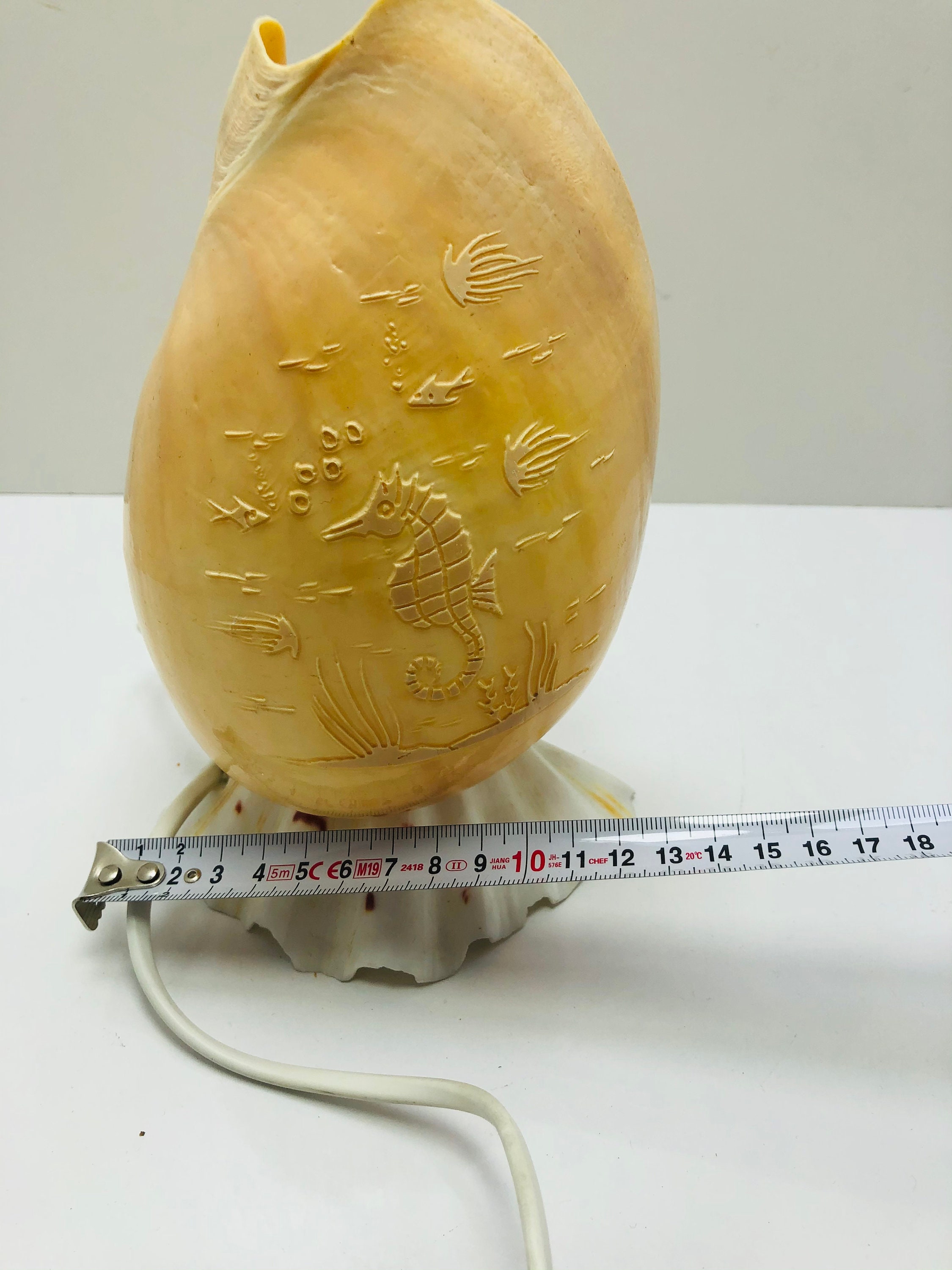 SeaShell Lamp Seashell Lamp Shade Rustic Lamp Decor | Etsy