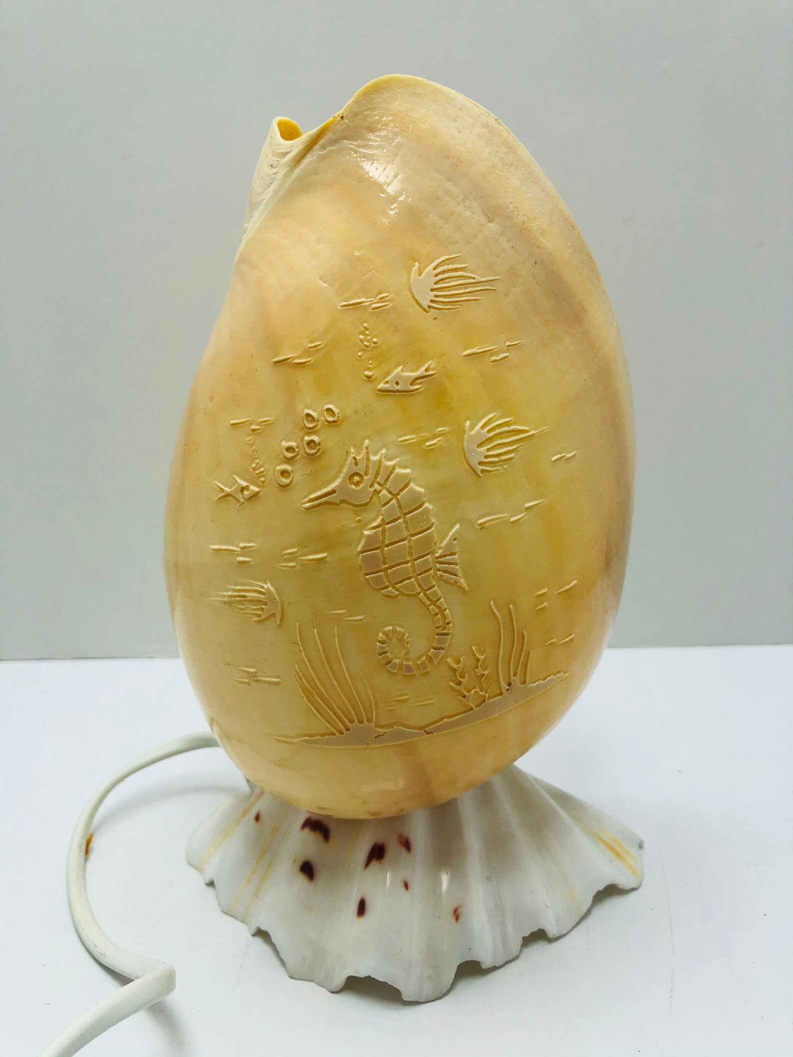 SeaShell Lamp Seashell Lamp Shade Rustic Lamp Decor | Etsy