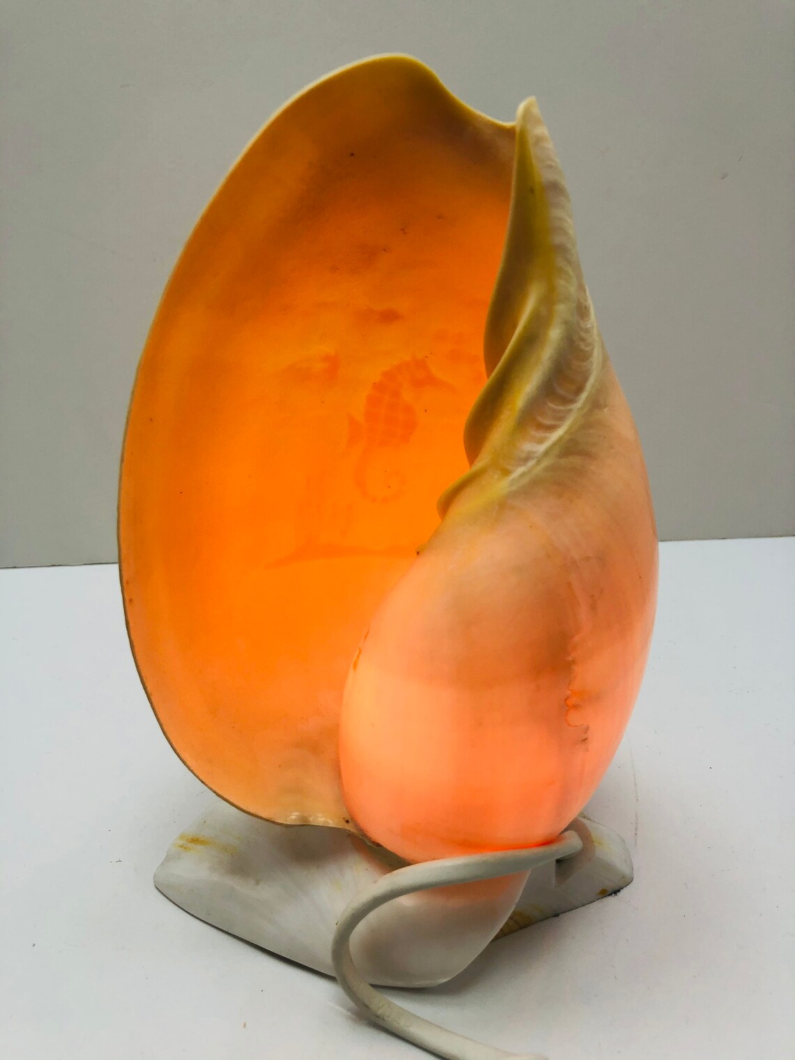 Extra Large Fillable Seashell Lamp Fillable Lamp Seashell