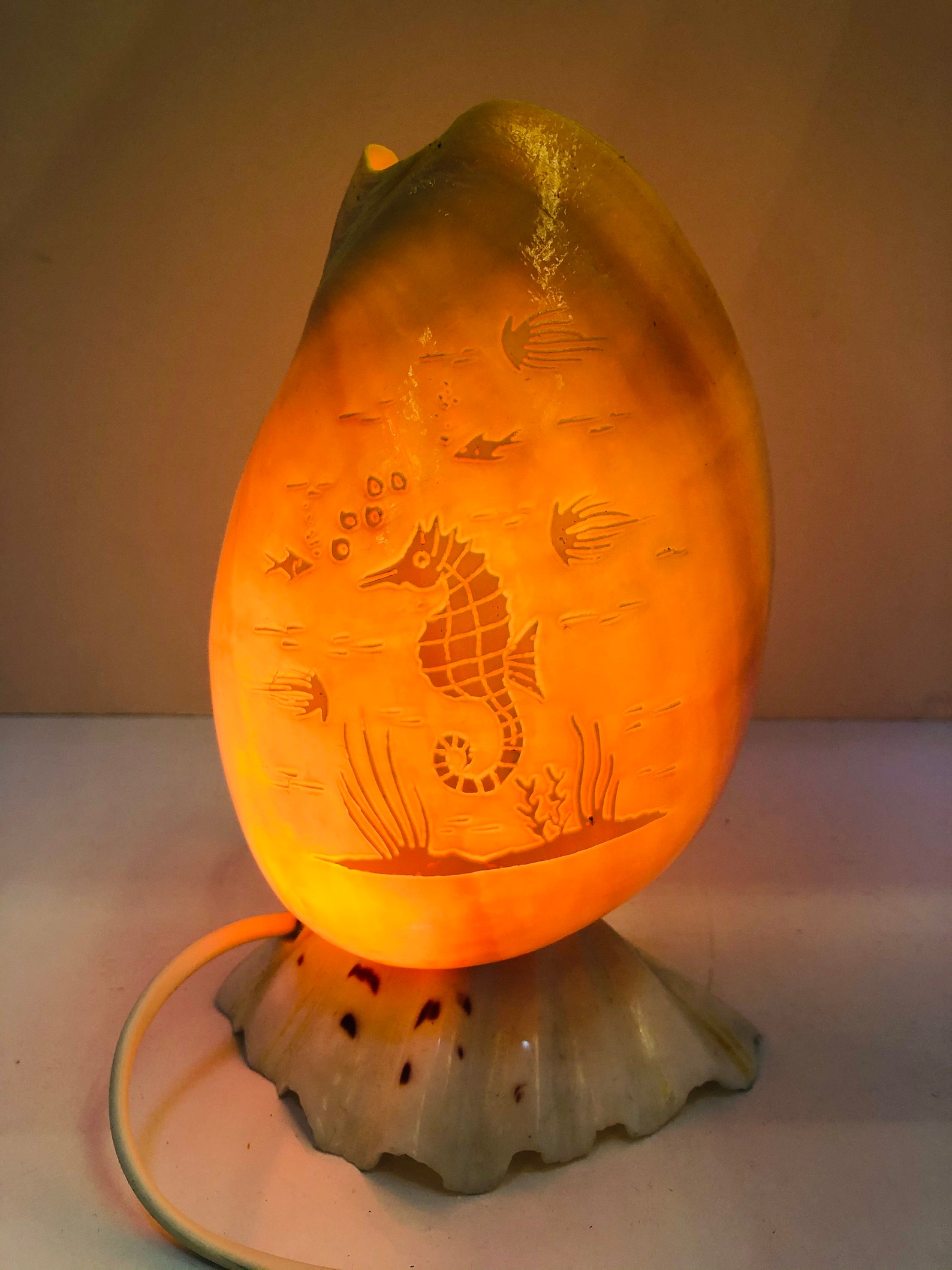 SeaShell Lamp Seashell Lamp Shade Rustic Lamp Decor | Etsy