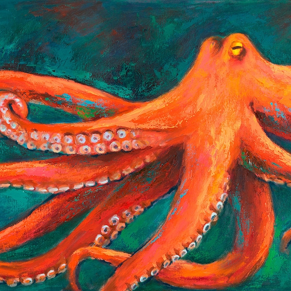 Orange Octopus - Etsy