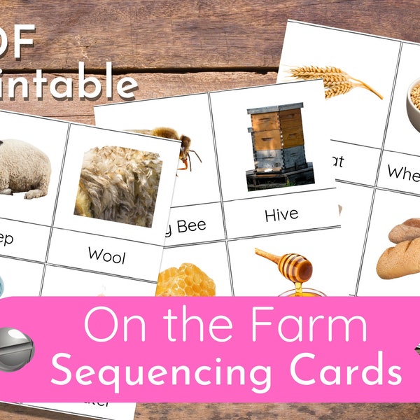 Montessori Activity - Etsy