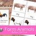 On the Farm Animals Montessori Nomenclature 3-part Cards for Homeschool ...