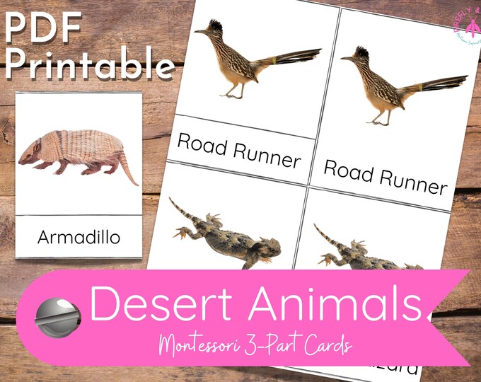 Desert Animals Montessori 3-part Cards Flash Card Activity for Social ...