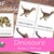 US Landmarks & Symbols Montessori Nomenclature 3-part Cards Social ...