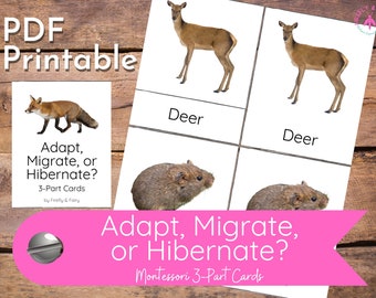 Hibernating Animals Poster and Fact Flash Cards - Etsy