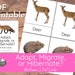 Desert Animals Montessori 3-part Cards Flash Card Activity for Social ...