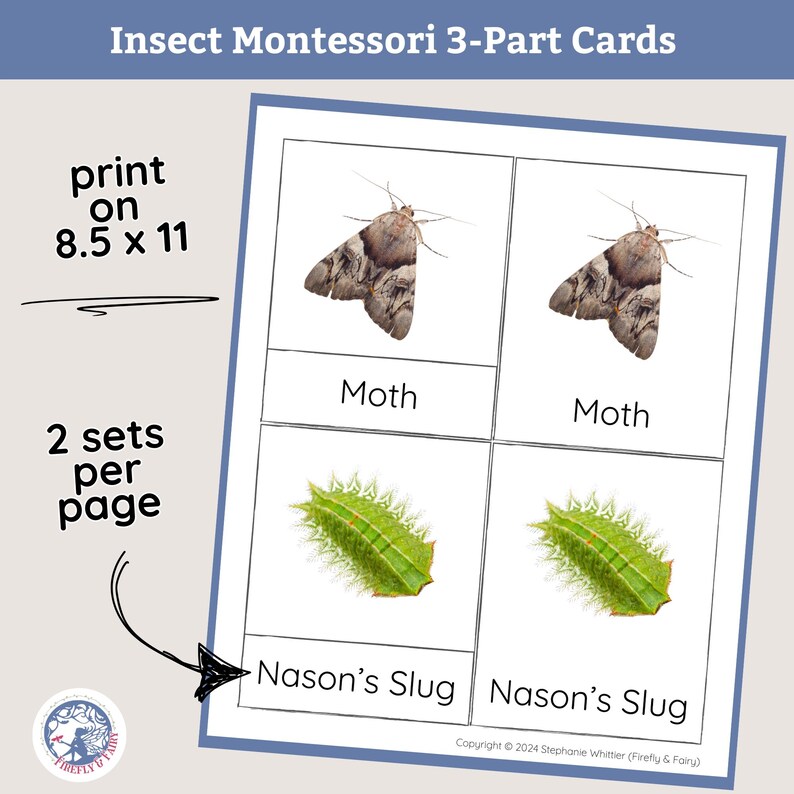 Insect Montessori Science 3-part Cards, Bug Flash Cards, Printable ...