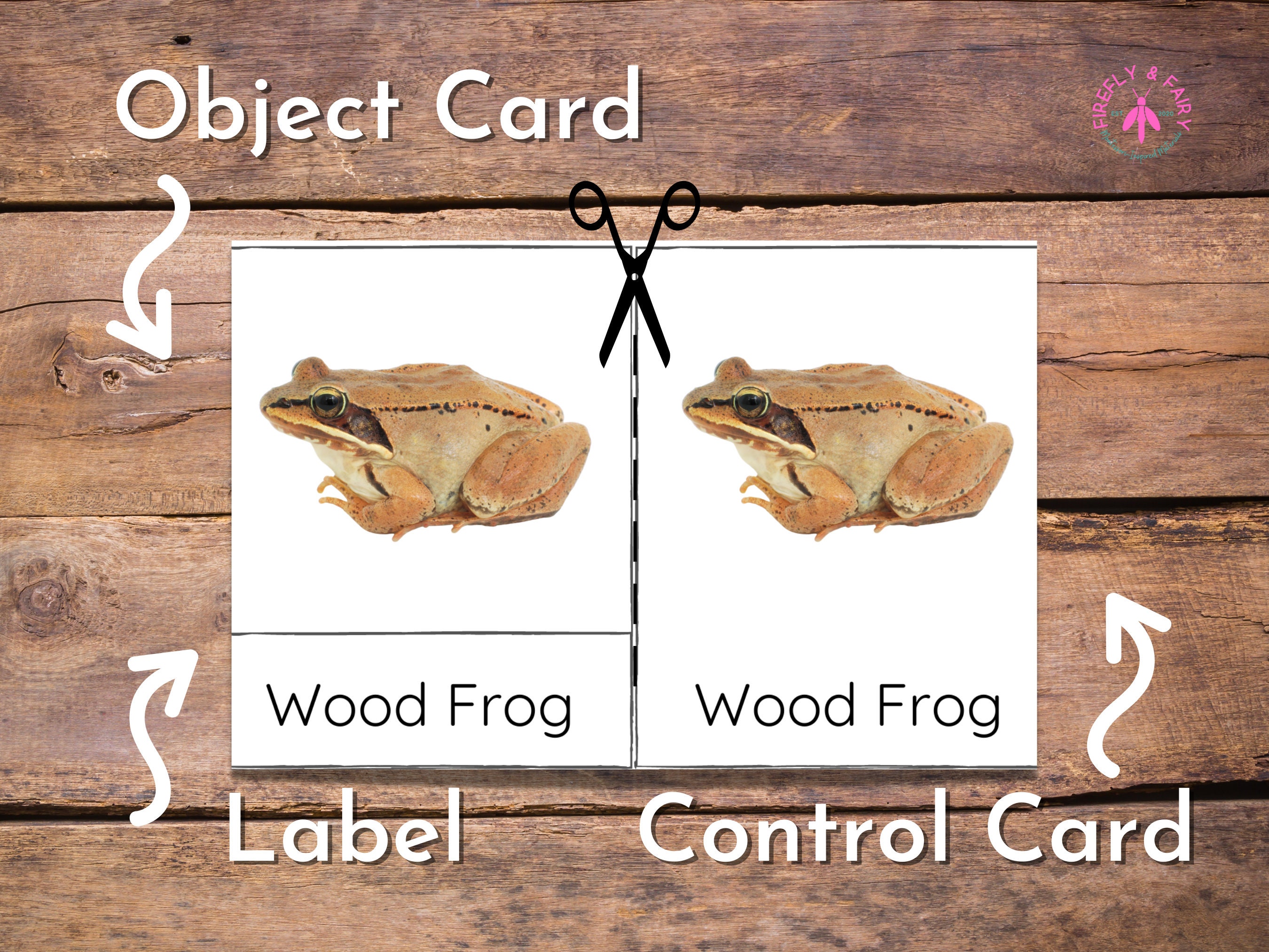 North American Wildlife Montessori 3-part Cards Flash Card Activity ...