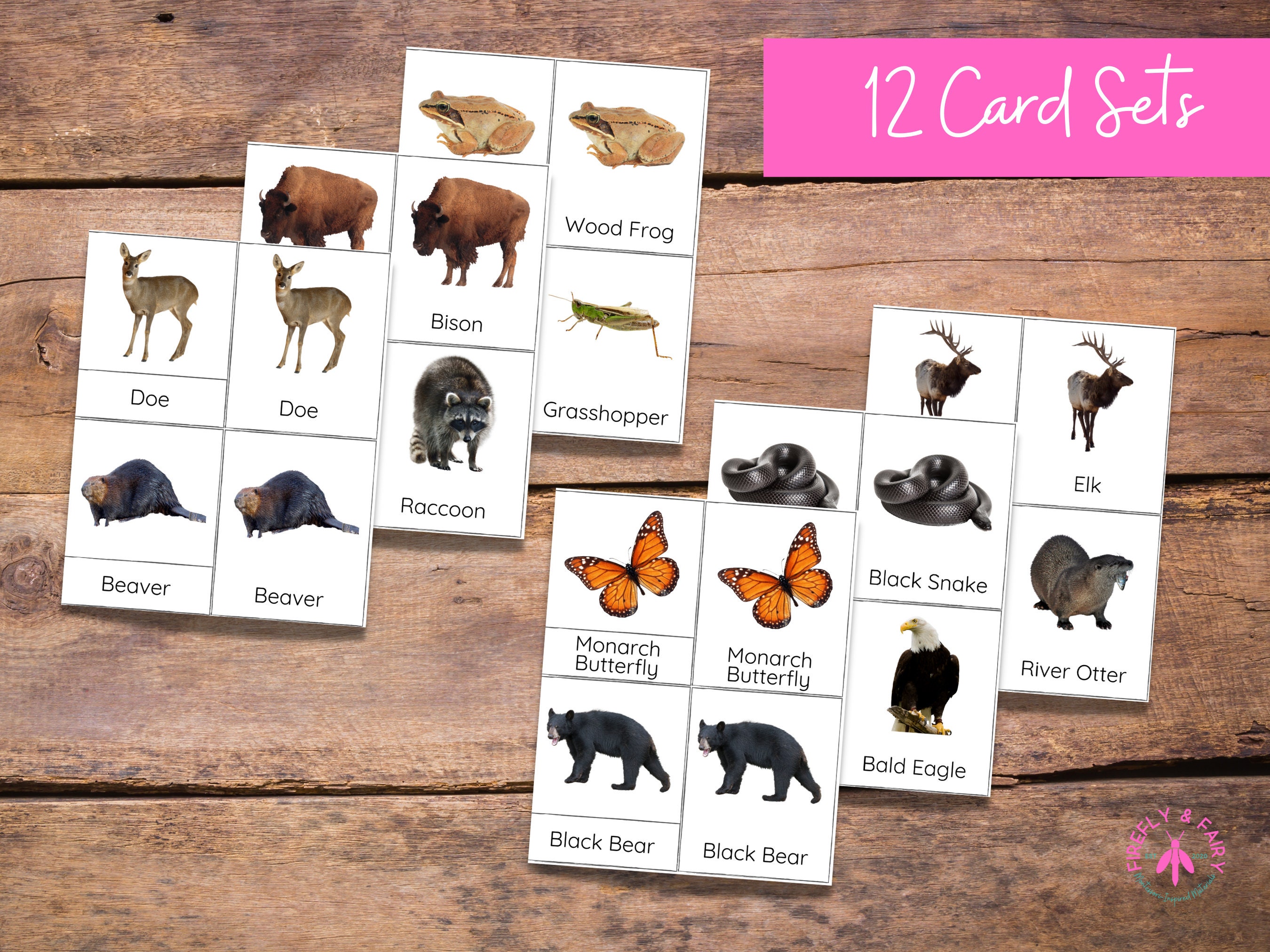 North American Wildlife Montessori 3-part Cards Flash Card Activity ...