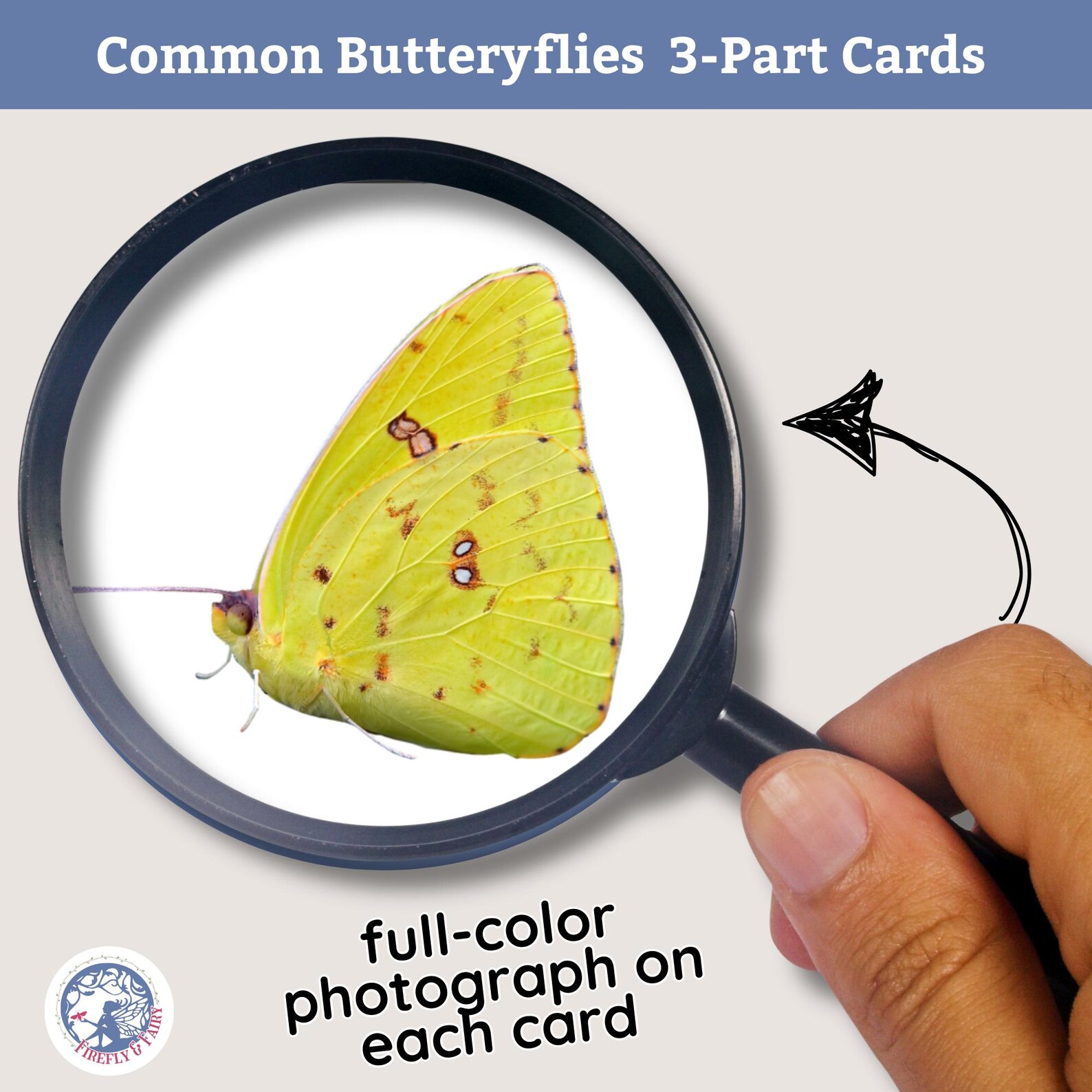 Backyard Butterfly Flash Card Set, Montessori 3-part Cards, Nature ...