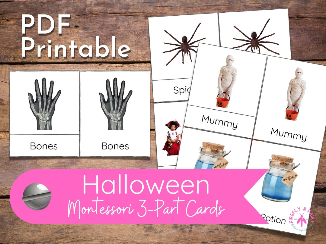 Halloween Montessori 3-part Cards Nomenclature Cards for Language Arts ...