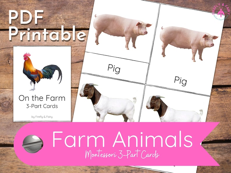 On the Farm Animals Montessori Nomenclature 3-part Cards for Homeschool ...