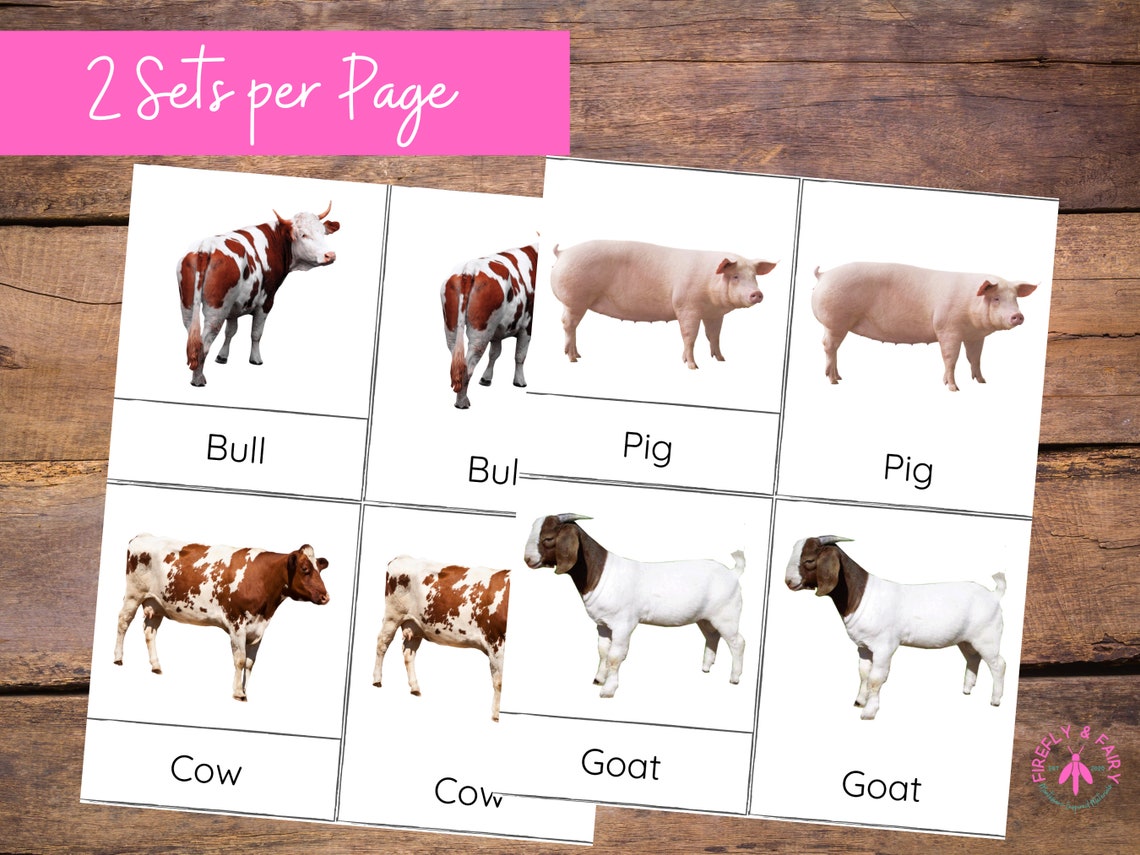 On the Farm Animals Montessori Nomenclature 3-part Cards for Homeschool ...