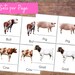 On the Farm Animals Montessori Nomenclature 3-part Cards for Homeschool ...