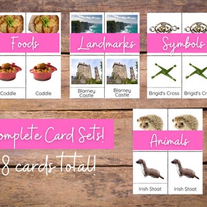 BUNDLE: Ireland Irish Culture Montessori 3-part Cards Set Food ...