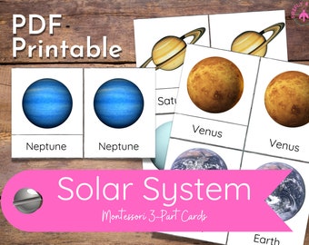 Parts of a Kidney Nomenclature 3-part Cards Science Printable ...