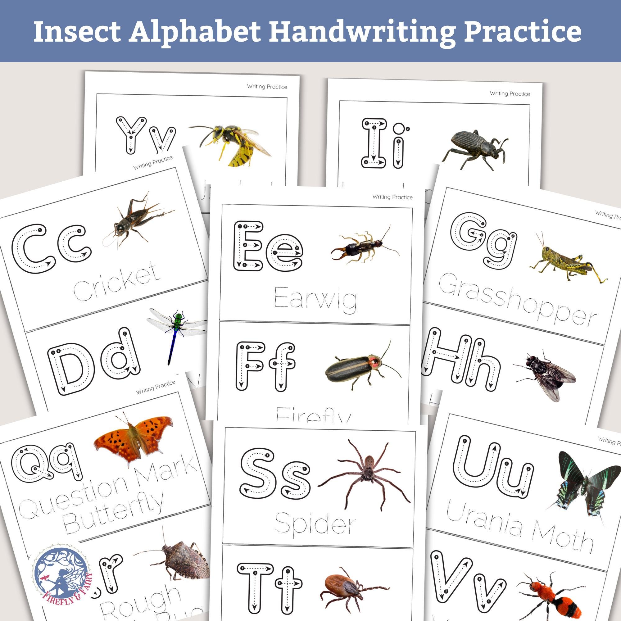 Insect Alphabet Handwriting Worksheet Color Photos Letter Formation ...