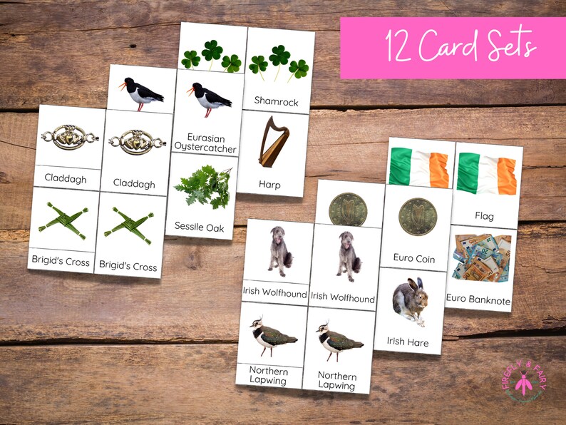 BUNDLE: Ireland Irish Culture Montessori 3-part Cards Set Food ...
