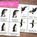 Animals of Antarctica Montessori Nomenclature 3-part Cards Science ...