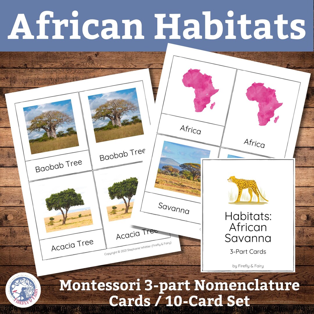 African Savanna Montessori Cards: Habitat Nomenclature 3-part Learning ...