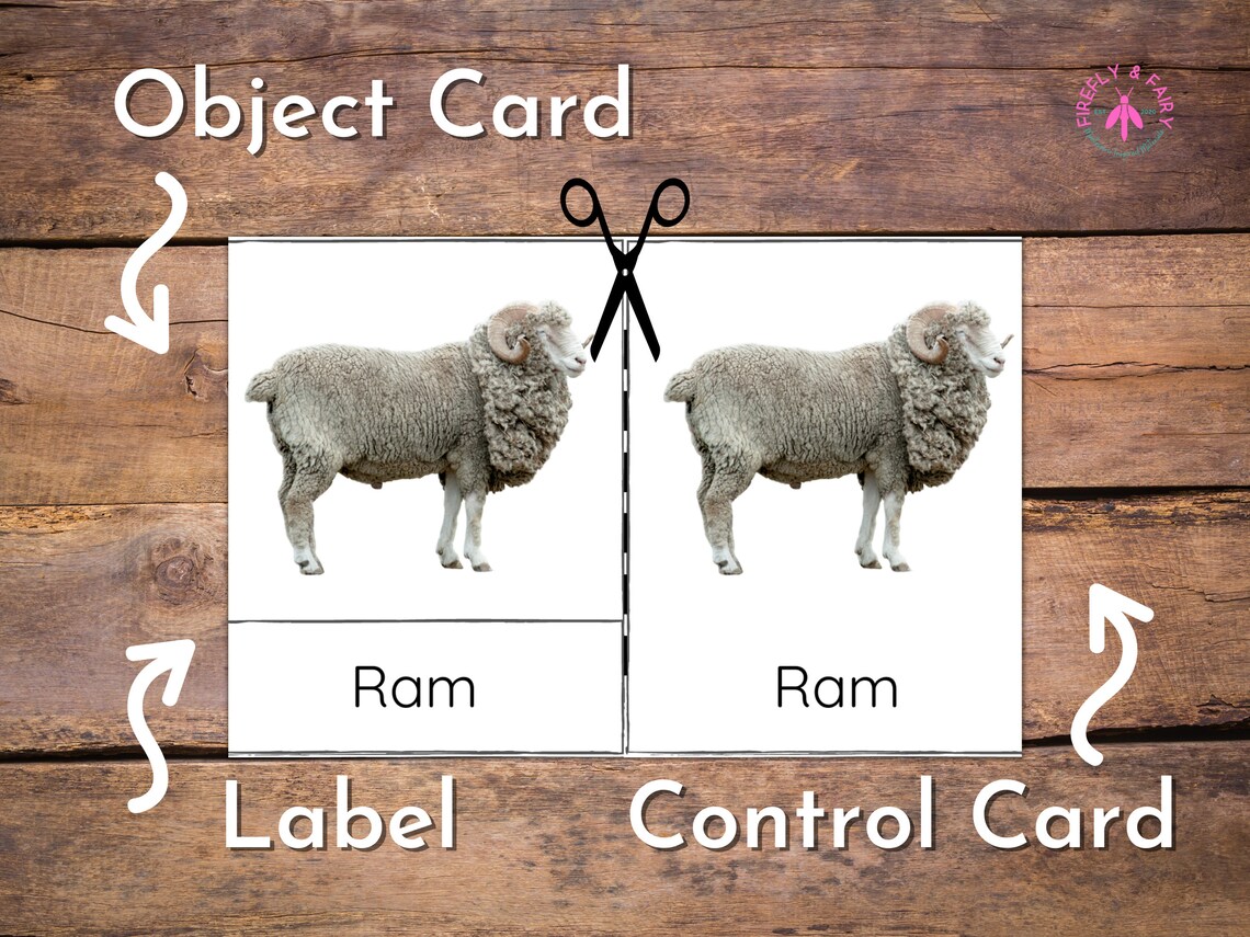 On the Farm Animals Montessori Nomenclature 3-part Cards for Homeschool ...