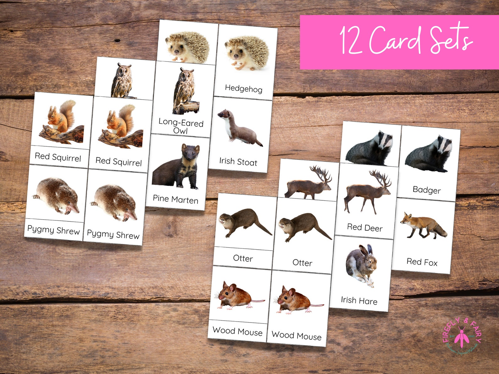 BUNDLE: Ireland Irish Culture Montessori 3-part Cards Set Food ...