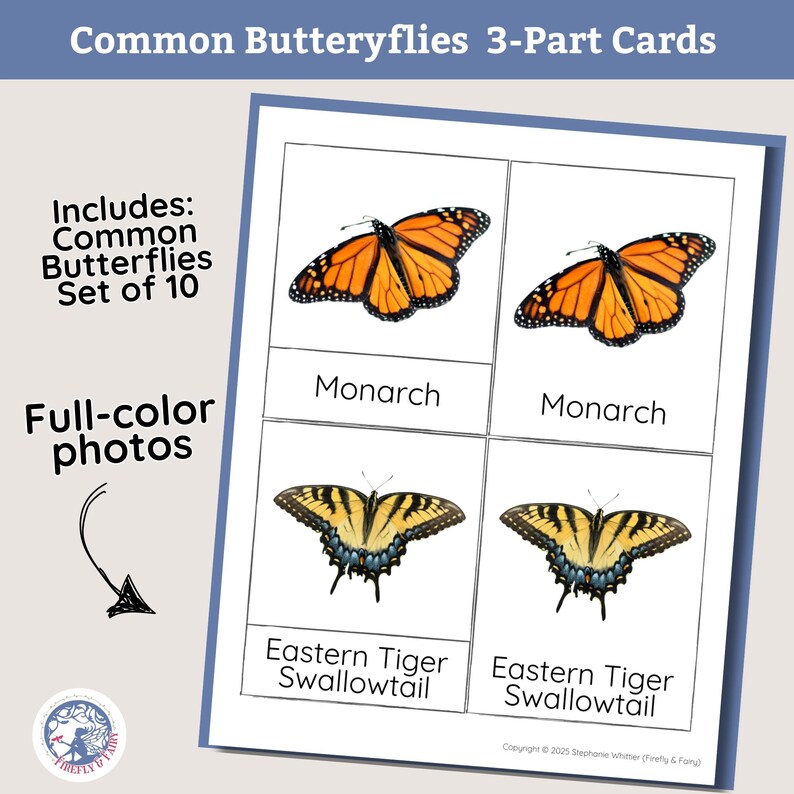 Backyard Butterflies Three Part Cards Set & Printable Nature Study ...