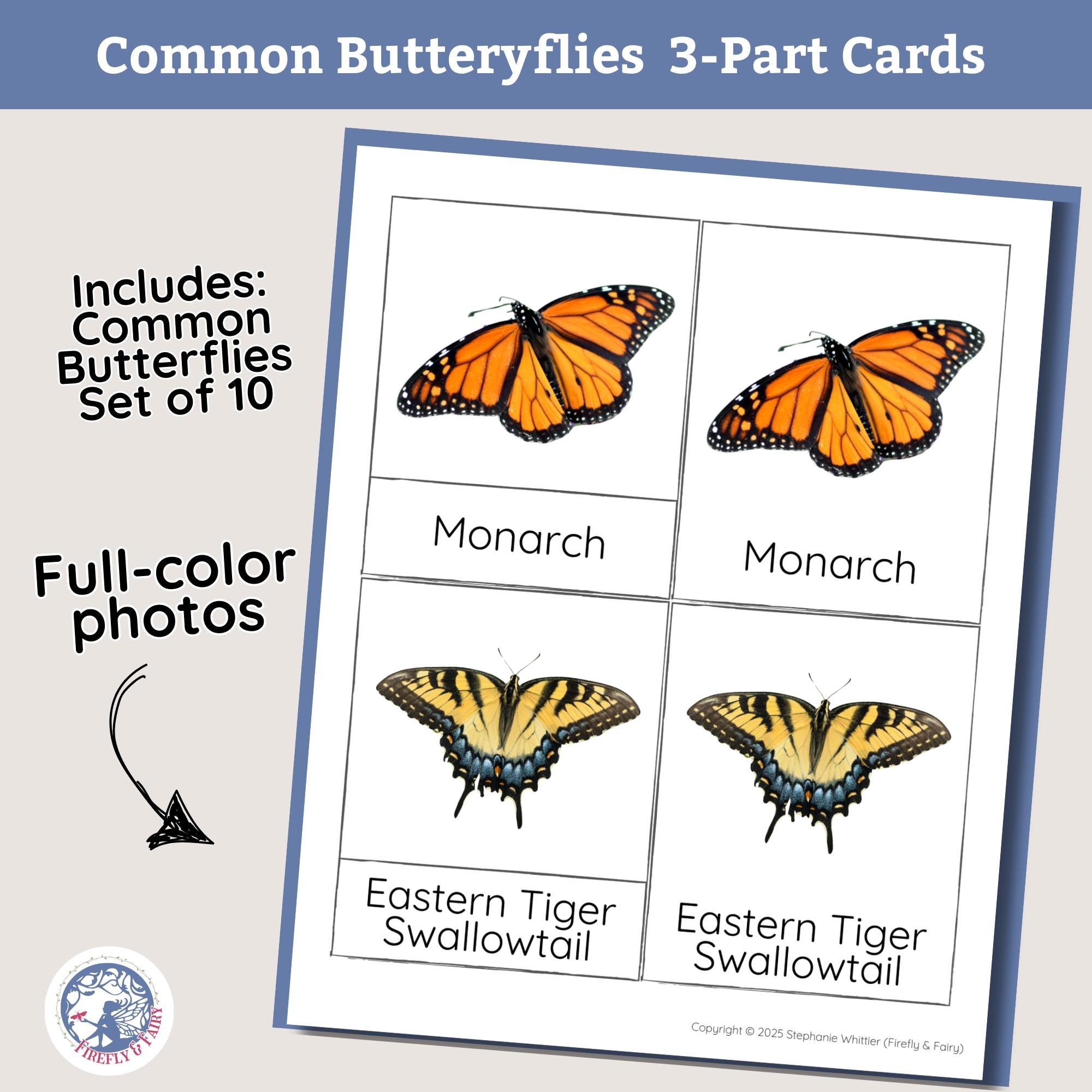 Backyard Butterfly Flash Card Set, Montessori 3-part Cards, Nature ...
