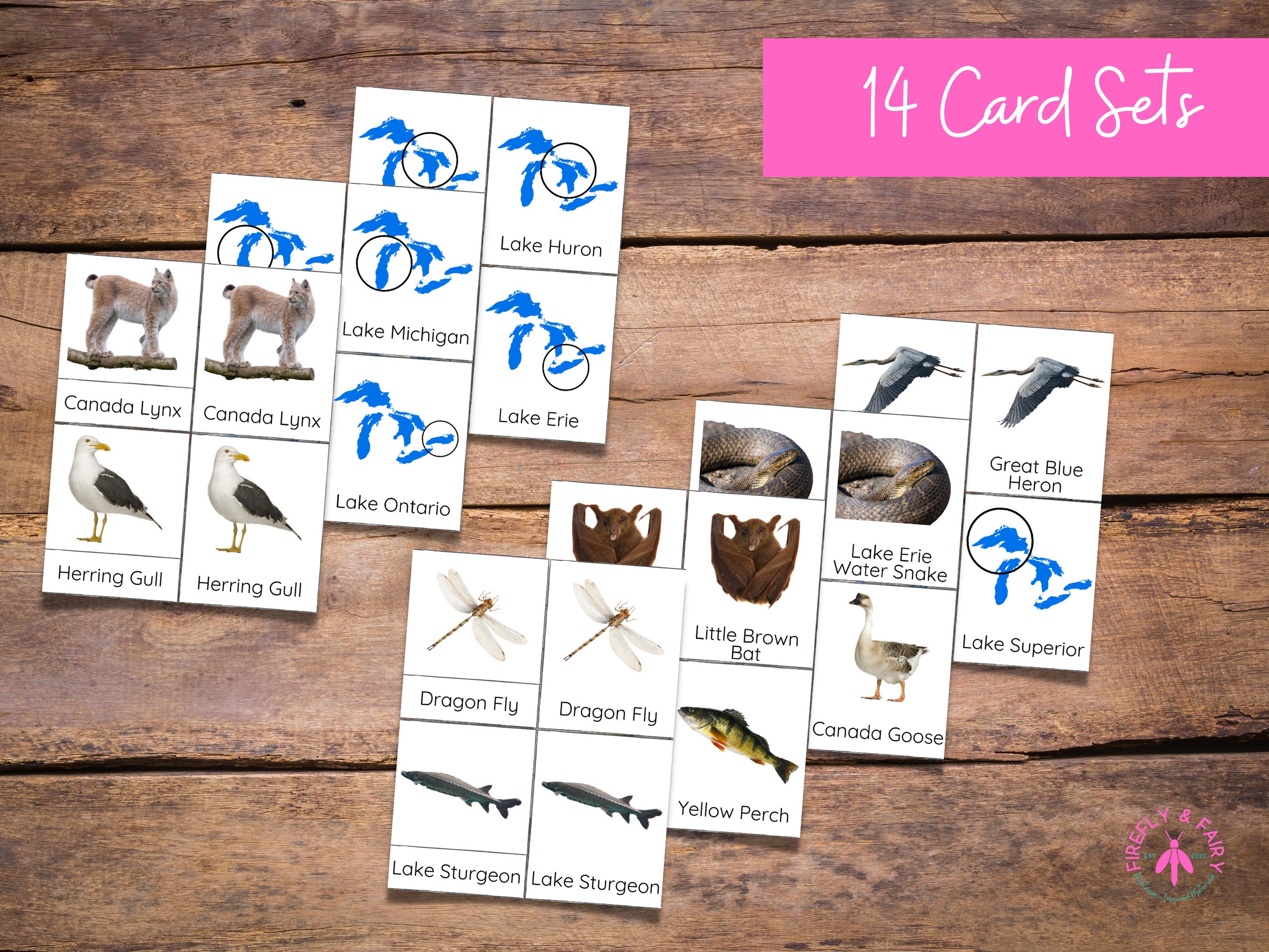 Animals of the Great Lakes Montessori Nomenclature 3-part Cards Science ...