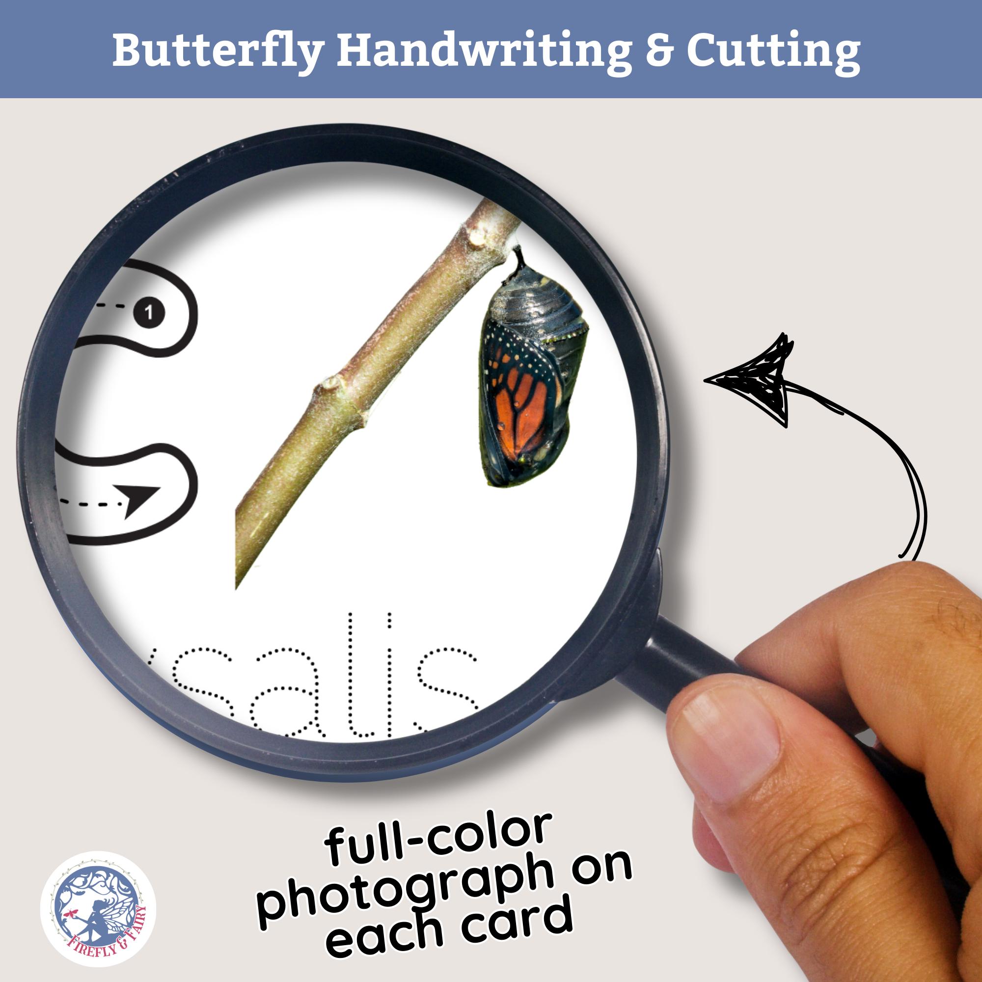 Butterfly Kids Handwriting Practice, Fine Motor Skills Cutting Practice ...
