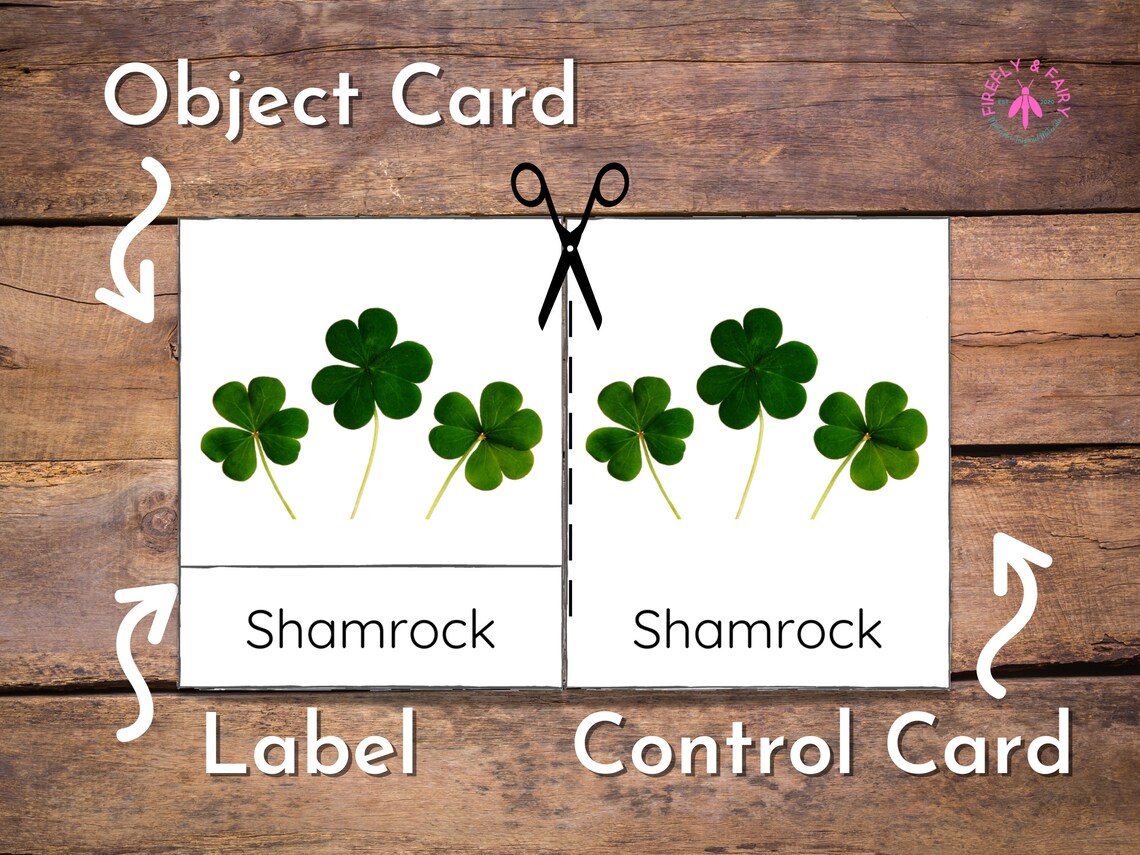 National Symbols of Ireland Montessori 3-part Cards Vocabulary | Etsy