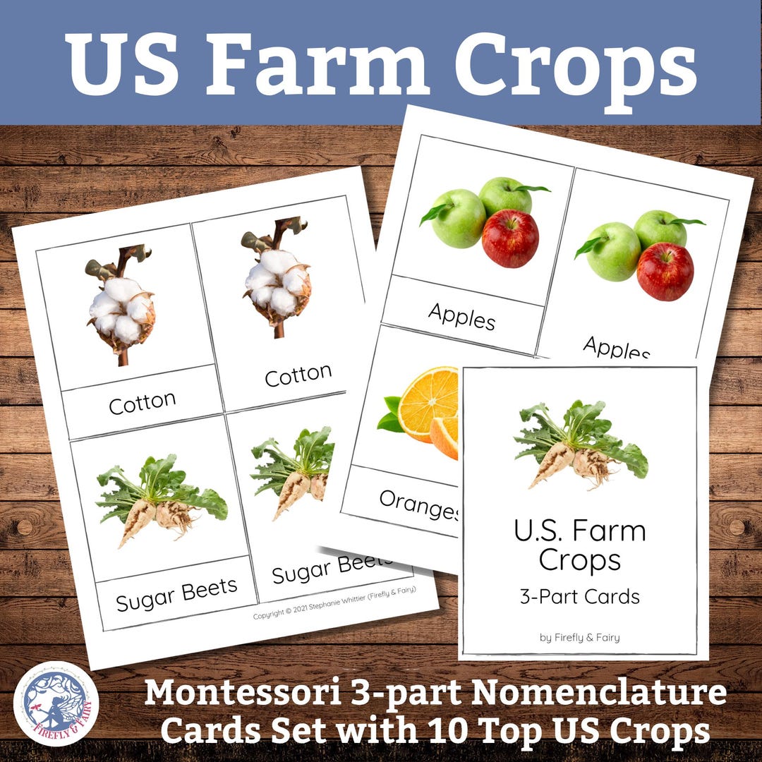 US Crops Farm Unit Study 3-part Cards for Montessori at Home ...