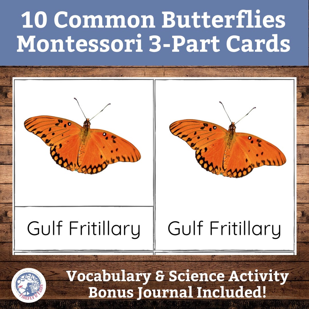Backyard Butterfly Flash Card Set, Montessori 3-part Cards, Nature ...