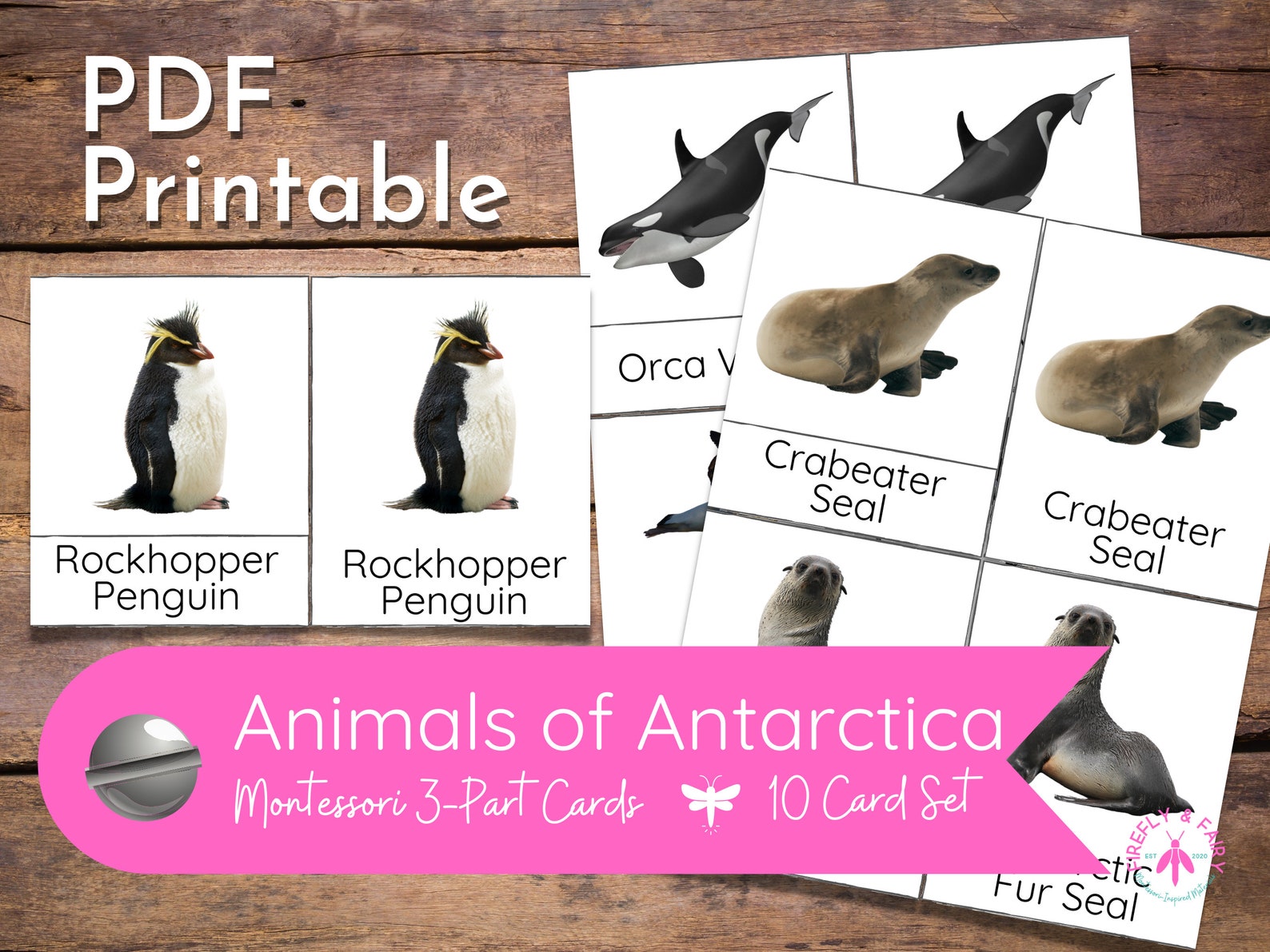 Animals of Antarctica Montessori Nomenclature 3-part Cards Science ...