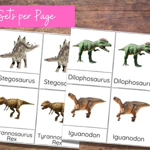 Dinosaur Montessori 3-part Cards / Digital Download / Social Studies ...