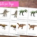 Dinosaur Montessori 3-part Cards / Digital Download / Social Studies ...