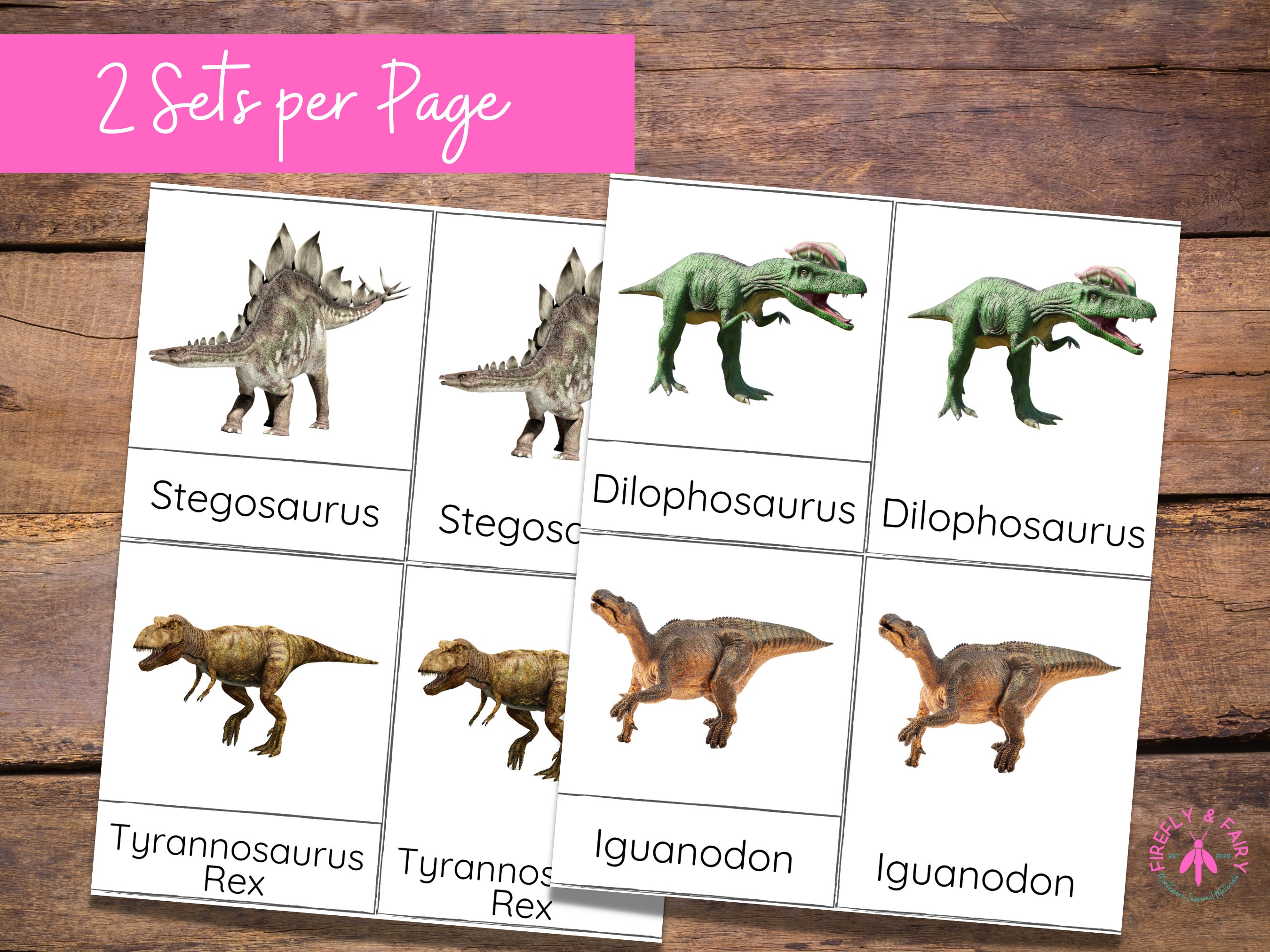 Dinosaur Montessori 3-part Cards / Digital Download / Social Studies ...