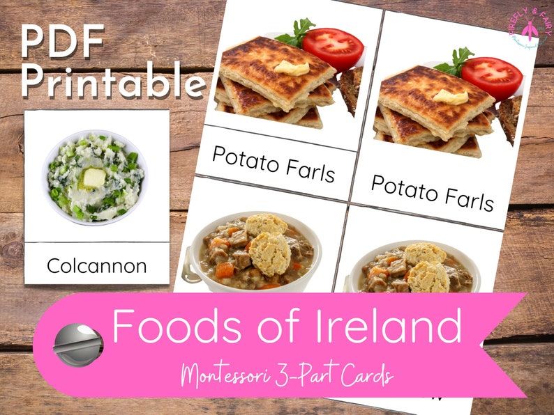Foods of Ireland Montessori 3-part Cards Vocabulary Flashcard Activity ...
